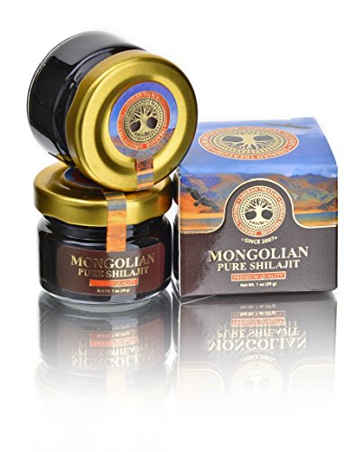 premium shilajit for natural recovery
