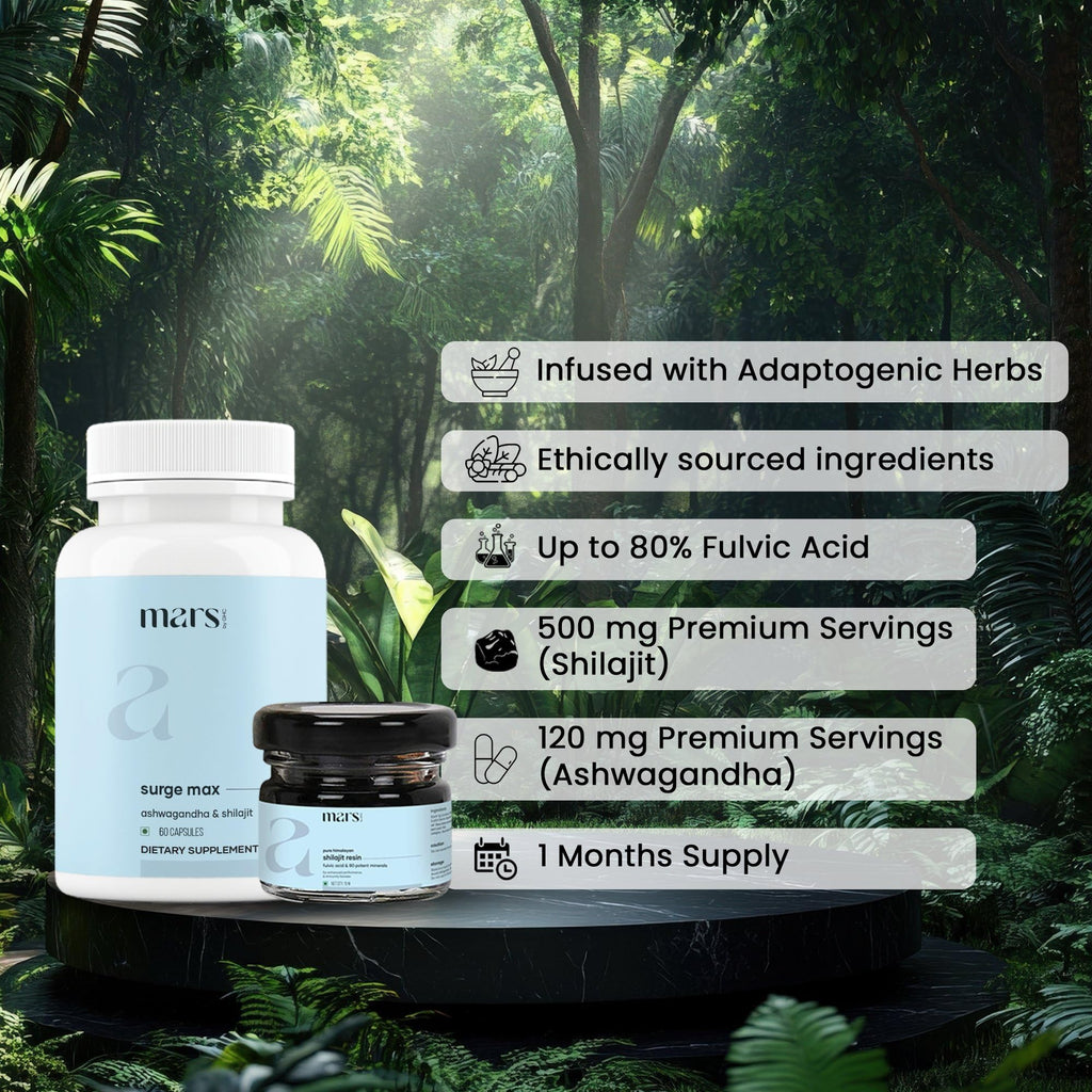 premium shilajit for vitality support