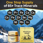 premium shilajit for vitality