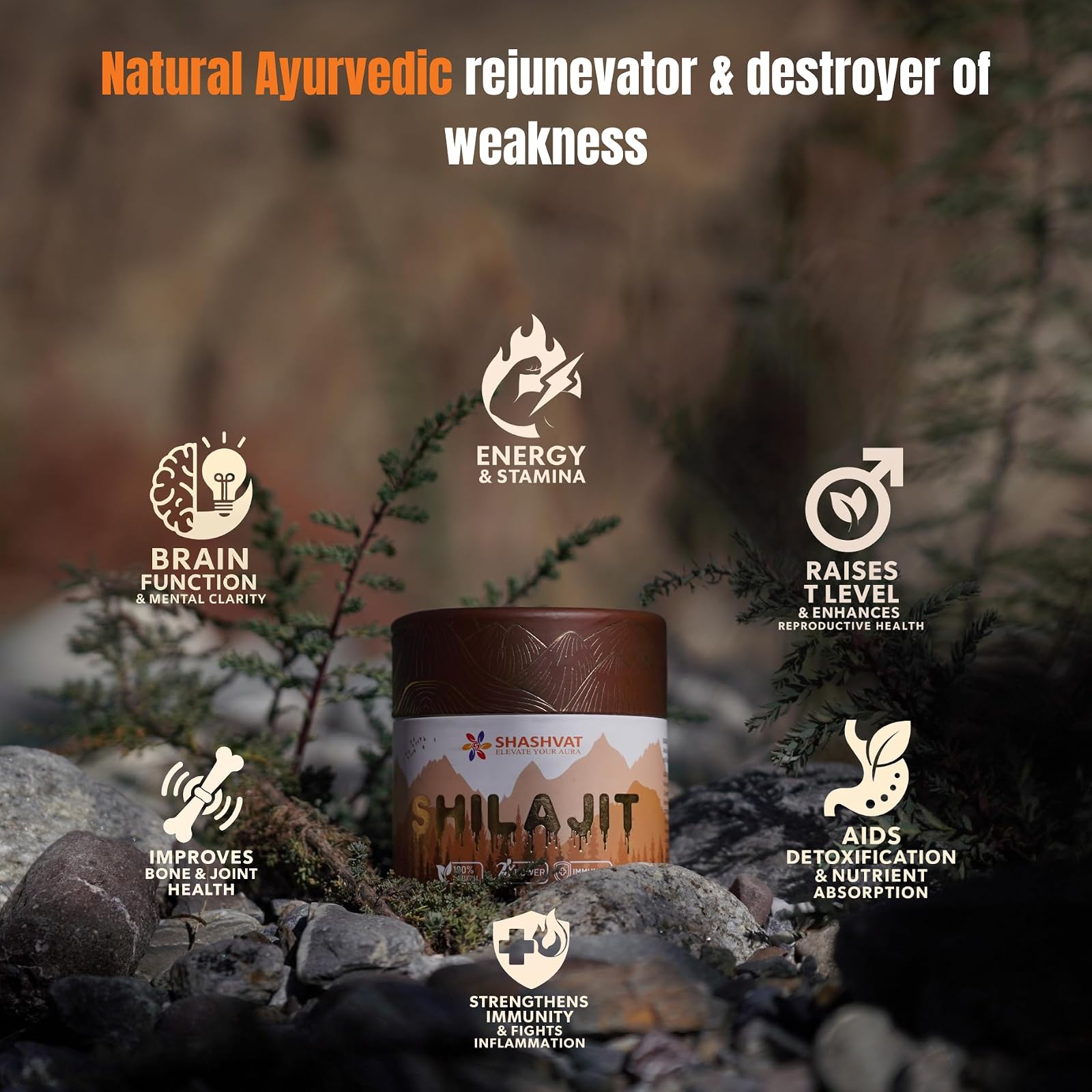 premium shilajit for wellness