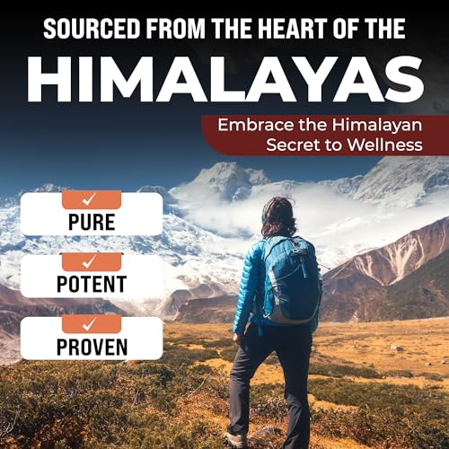 premium shilajit for wellness