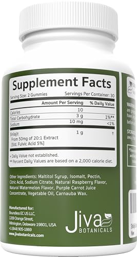 Premium shilajit gummies for active living
