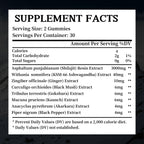premium shilajit gummies for endurance
