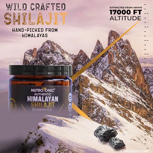 premium shilajit gummy formula
