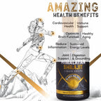 premium shilajit resin for energy