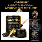 premium Shilajit resin for recovery