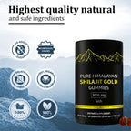 premium shilajit resin gummies