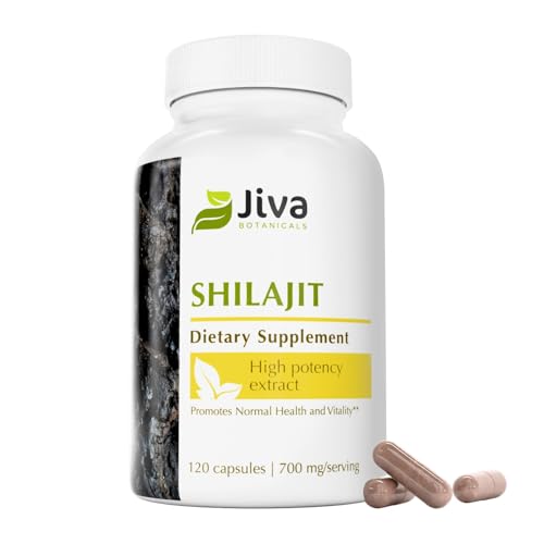 premium shilajit supplement for immunity