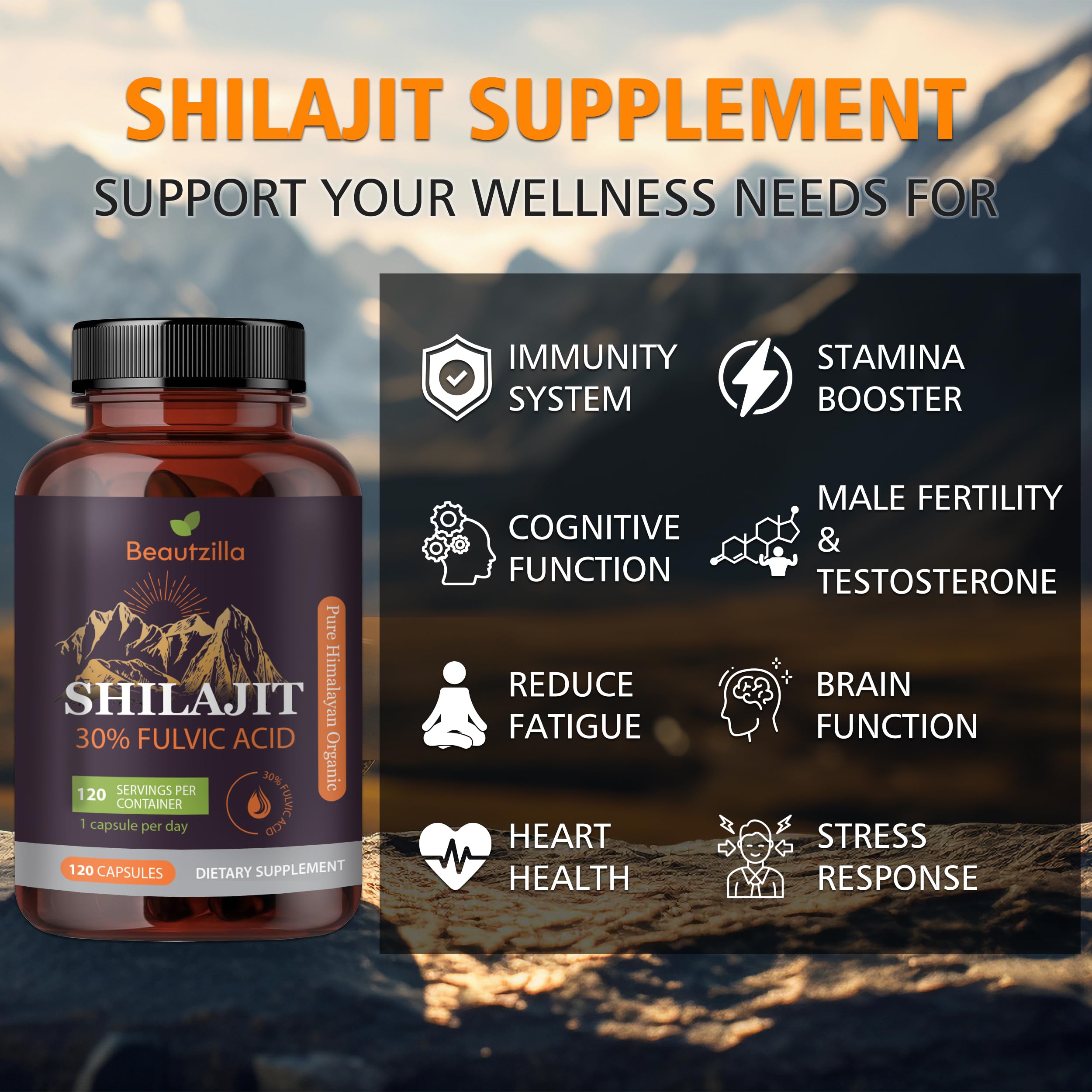 premium shilajit supplement for vitality