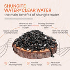 Premium shungite stones for detoxification