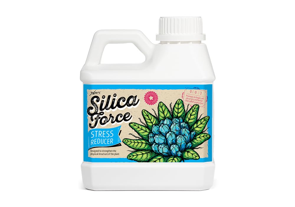 premium silicon additive for health