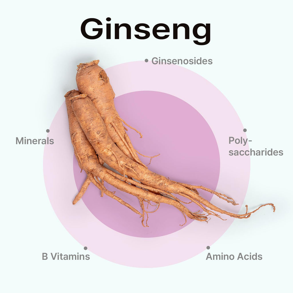 premium soft dried ginseng product