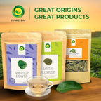 premium soursop leaf tea for relaxation