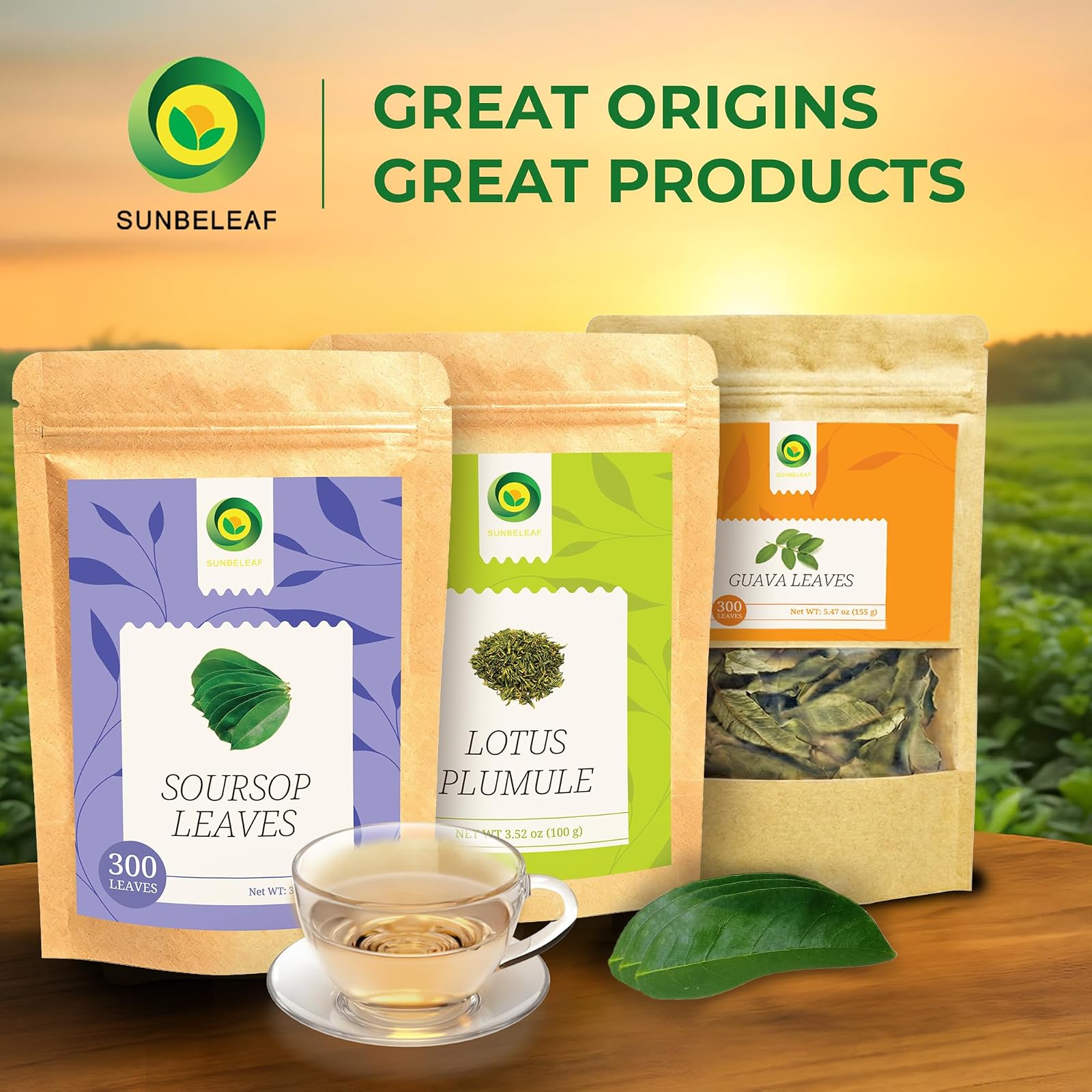 premium soursop leaf tea for relaxation