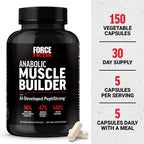 premium sports nutrition for recovery