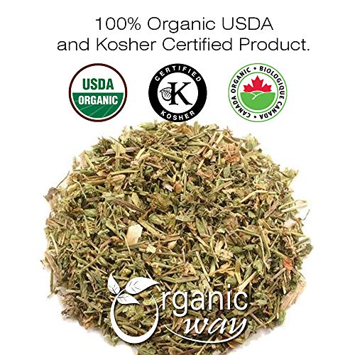 premium st. john's wort herbal tea