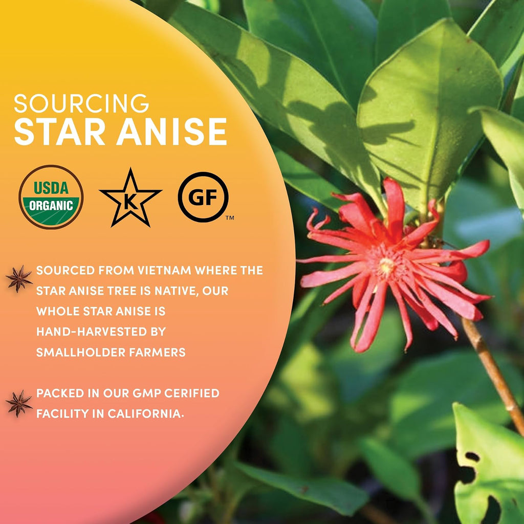premium star anise root for wellness