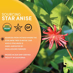 premium star anise root for wellness
