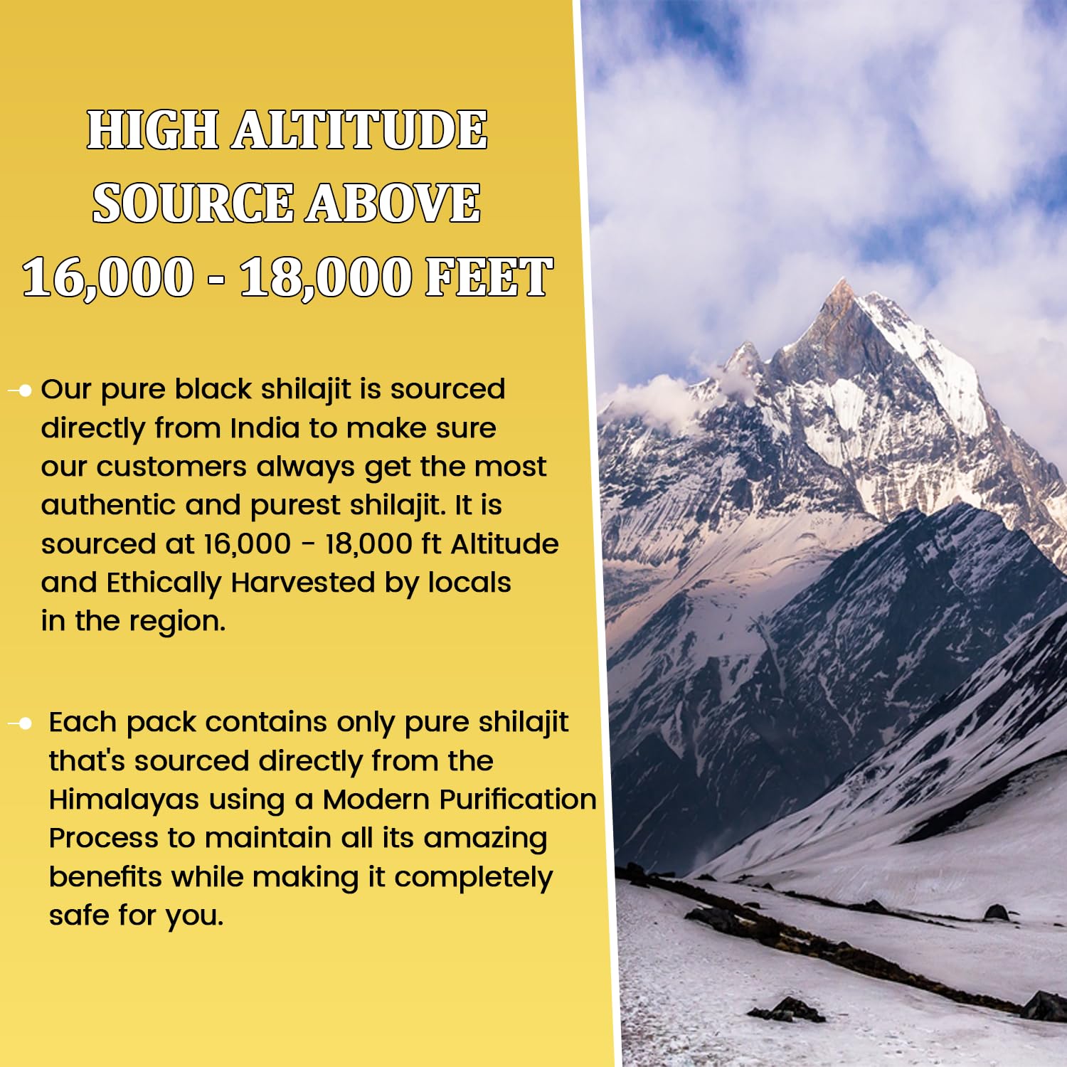 premium trace minerals for wellness