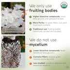 premium tremella mushroom powder for wellness