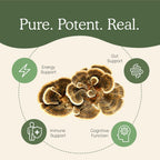 premium turkey tail mushroom extract