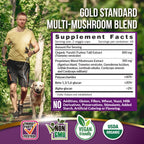 premium turkey tail mushroom supplement