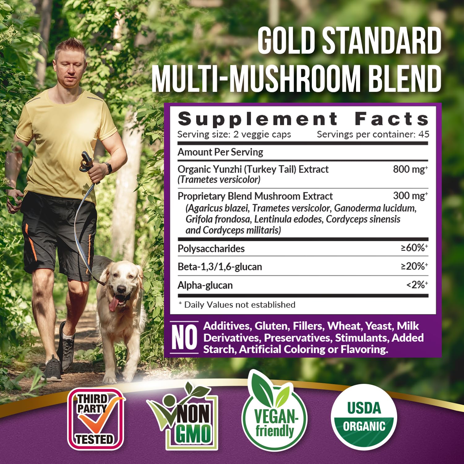 premium turkey tail mushroom supplement