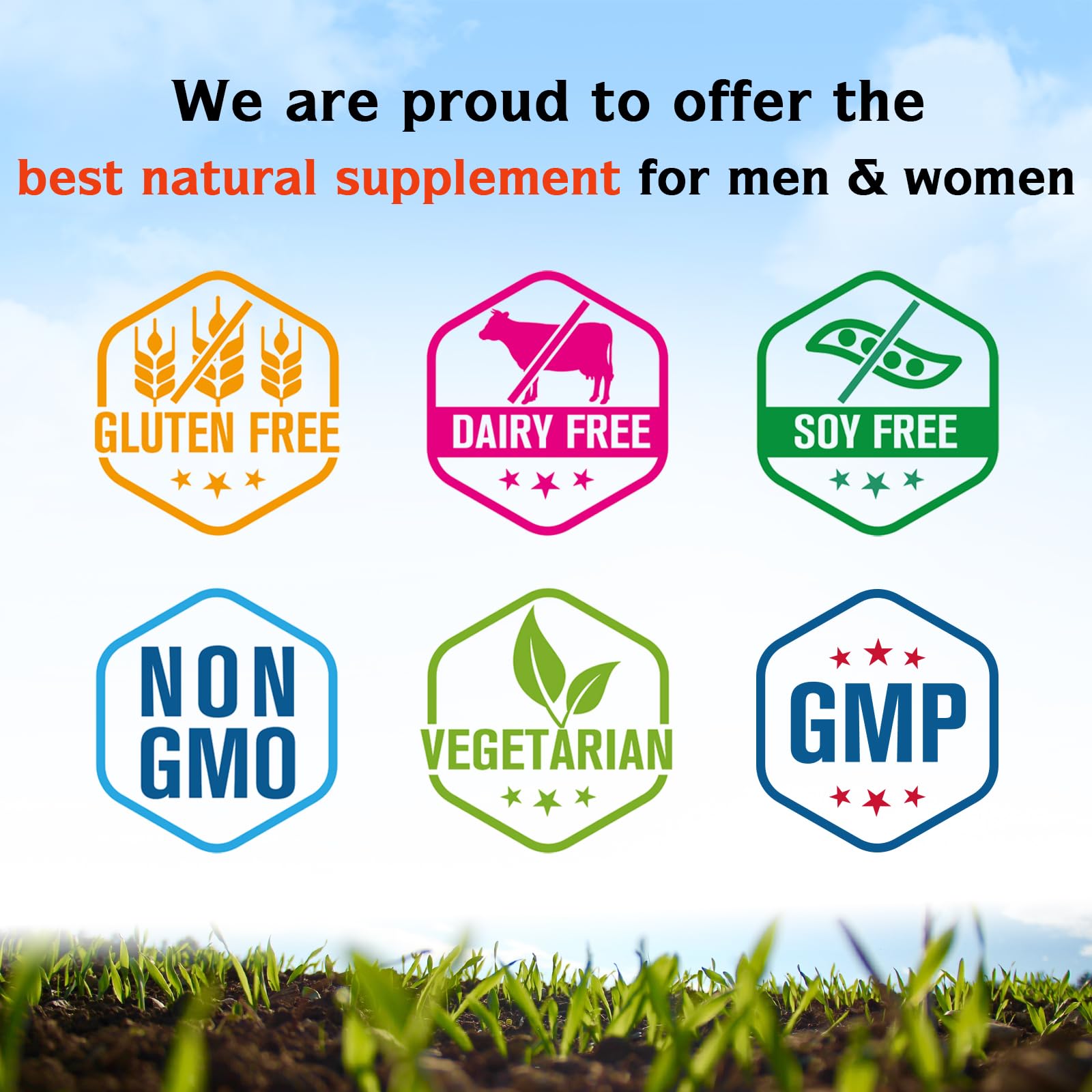 premium turmeric capsules for vitality