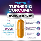 premium turmeric curcumin 95% curcuminoids