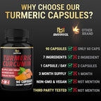 premium turmeric curcumin extract