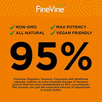 premium turmeric curcumin supplement