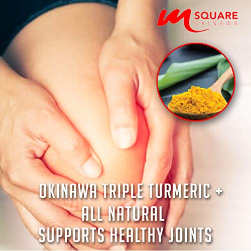 premium turmeric for inflammation support