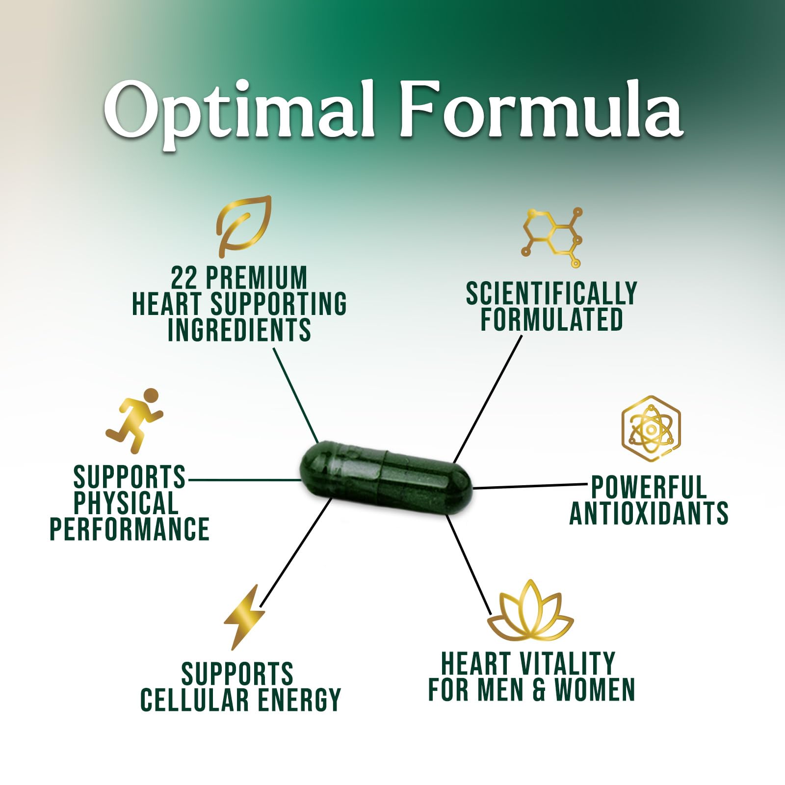 premium ubiquinol for heart function