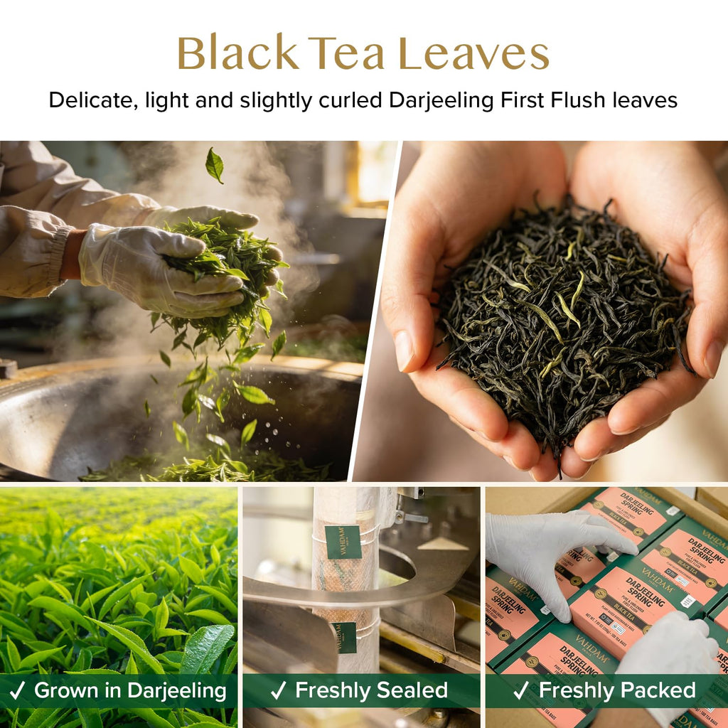premium VAHDAM black tea selection