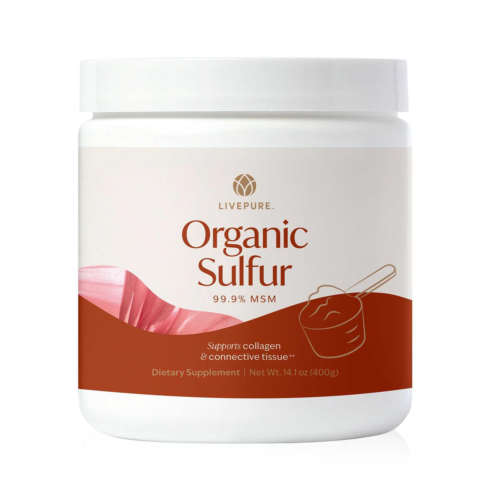 Premium vegan MSM supplement features