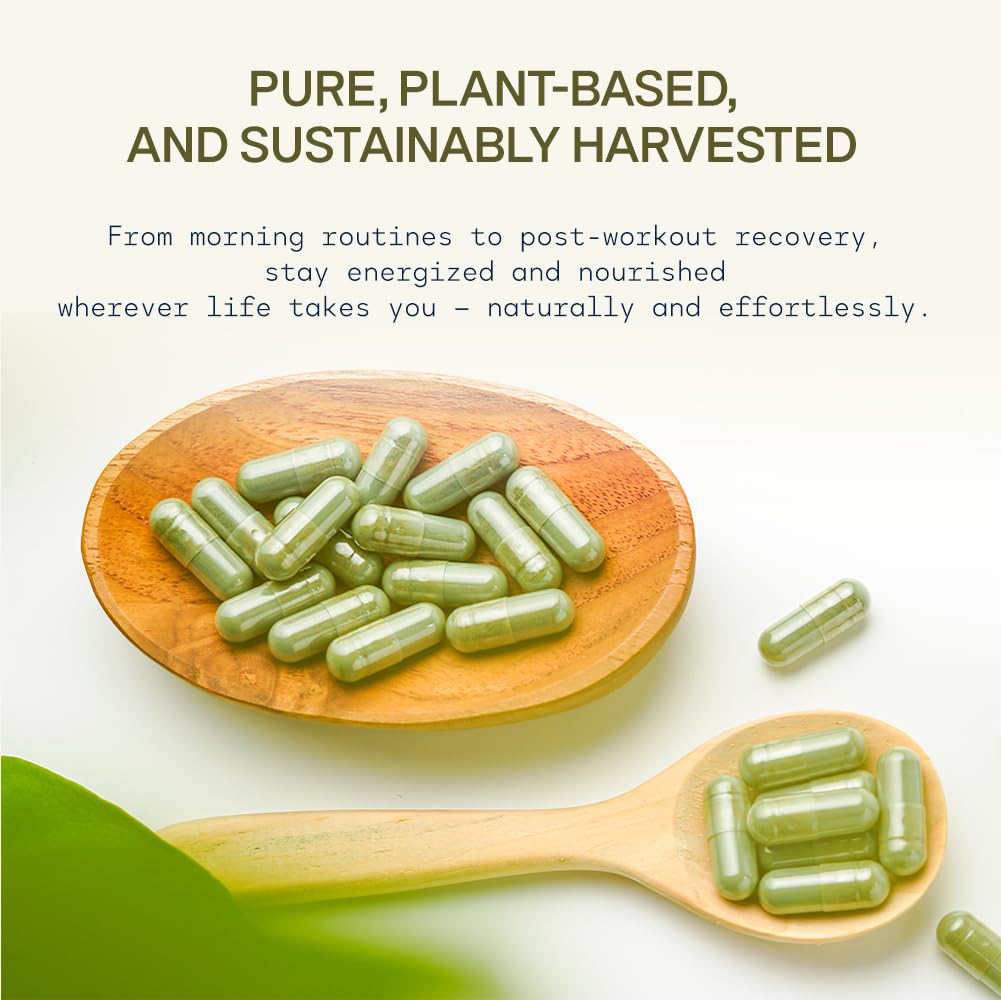 premium wheatgrass for overall wellness