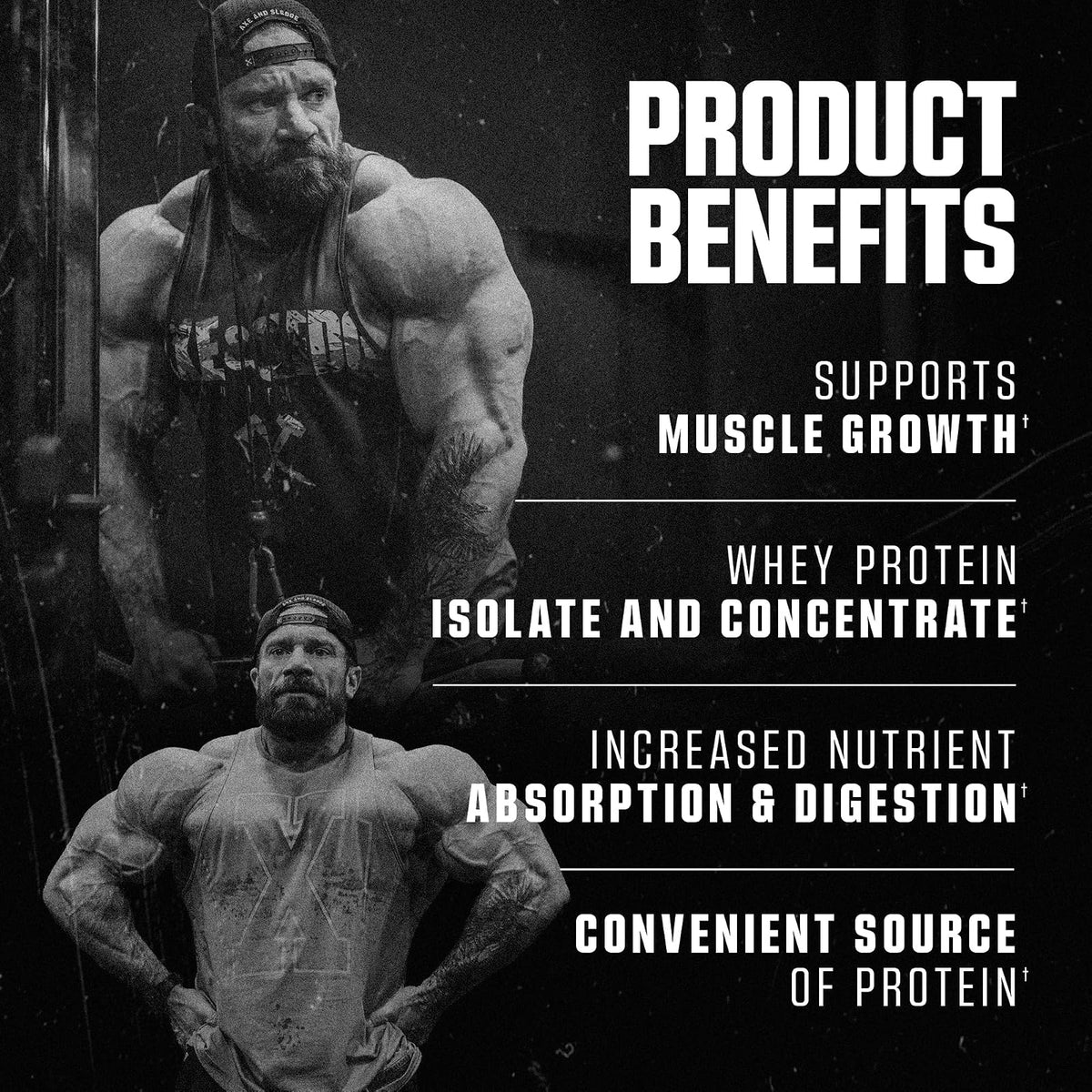 premium whey isolate for recovery