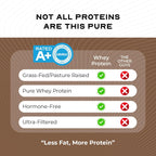 premium whey protein for athletes