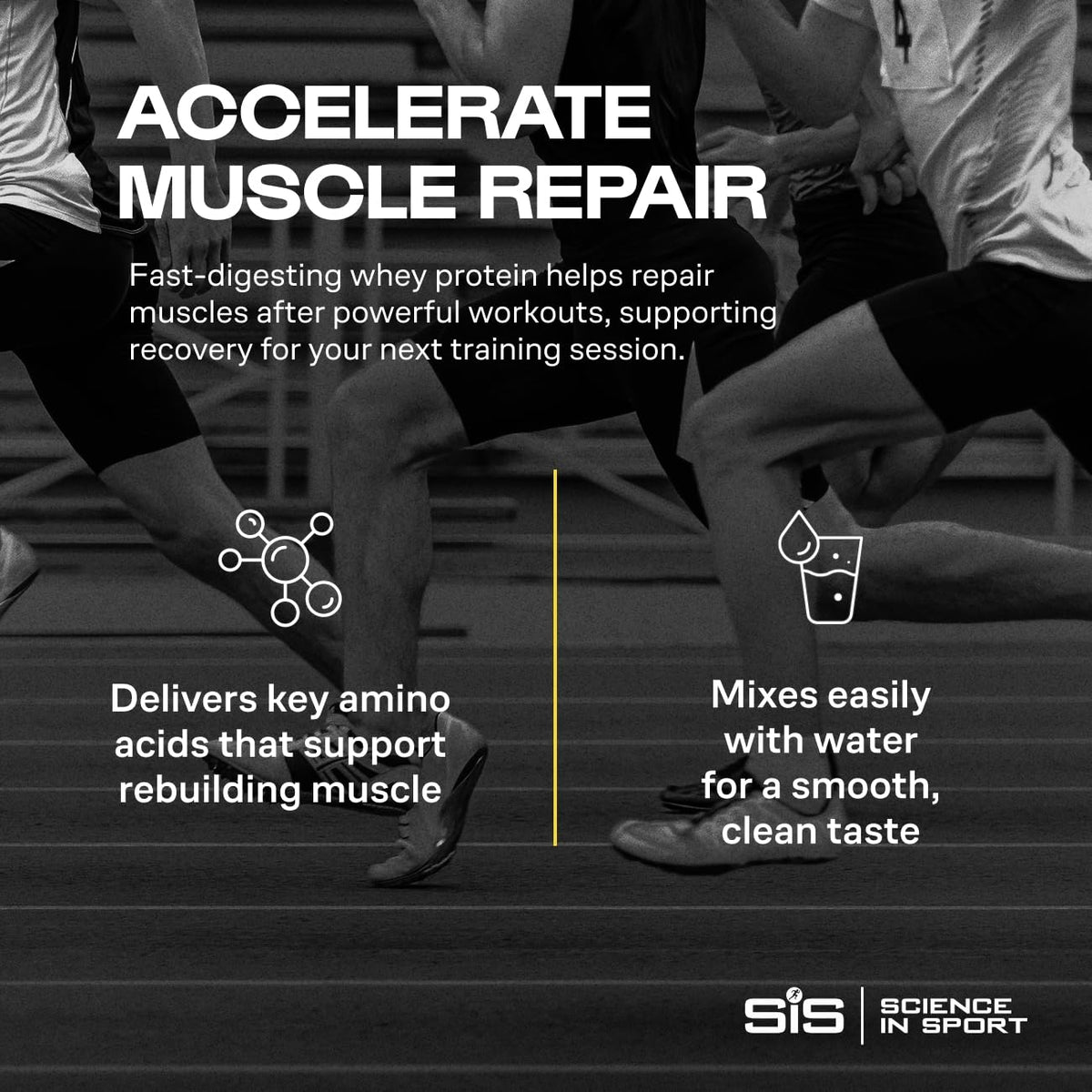 premium whey protein for athletes