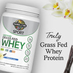 premium whey protein for energy boost