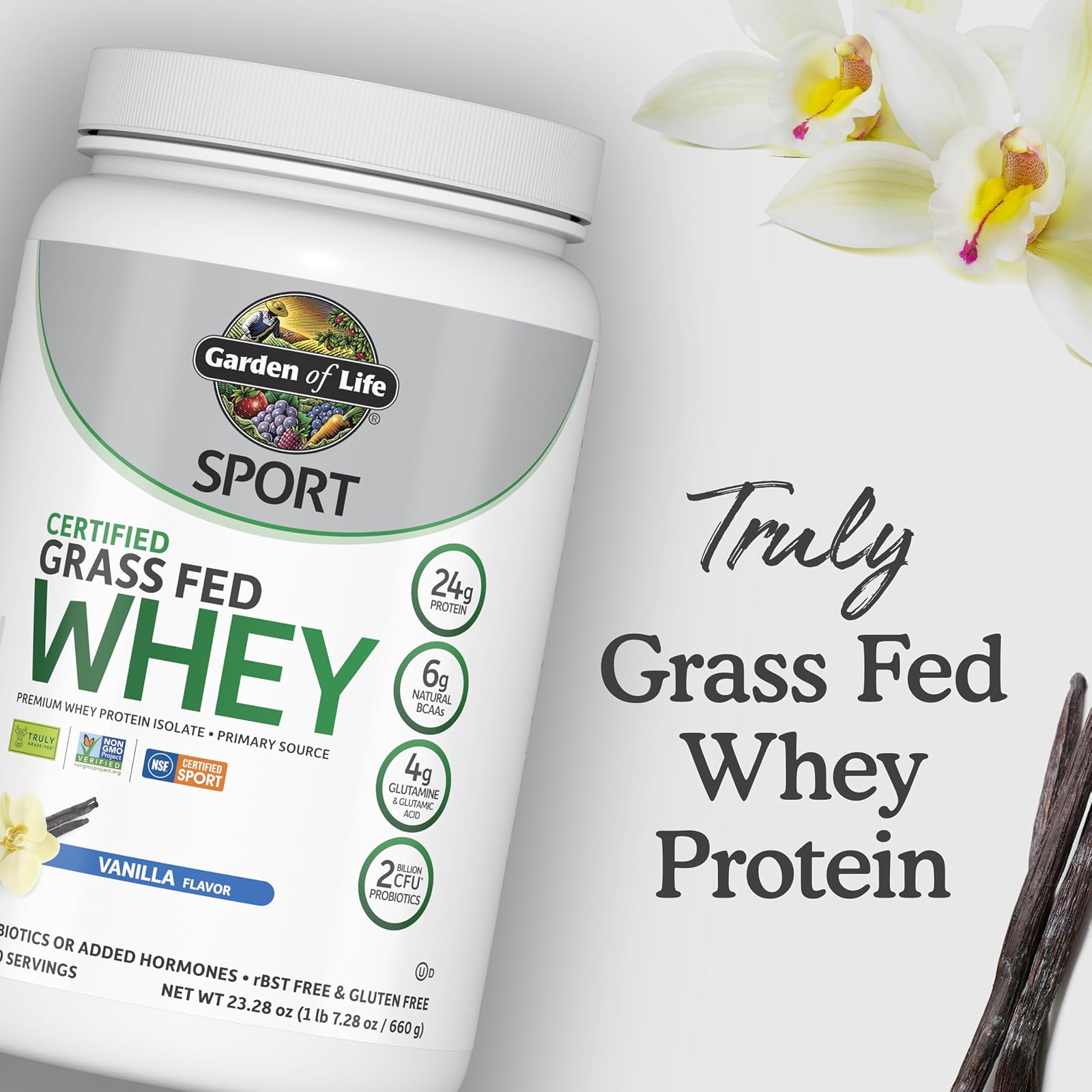 premium whey protein for energy boost