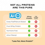 premium whey protein for everyday nutrition