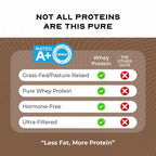 premium whey protein for muscle gain