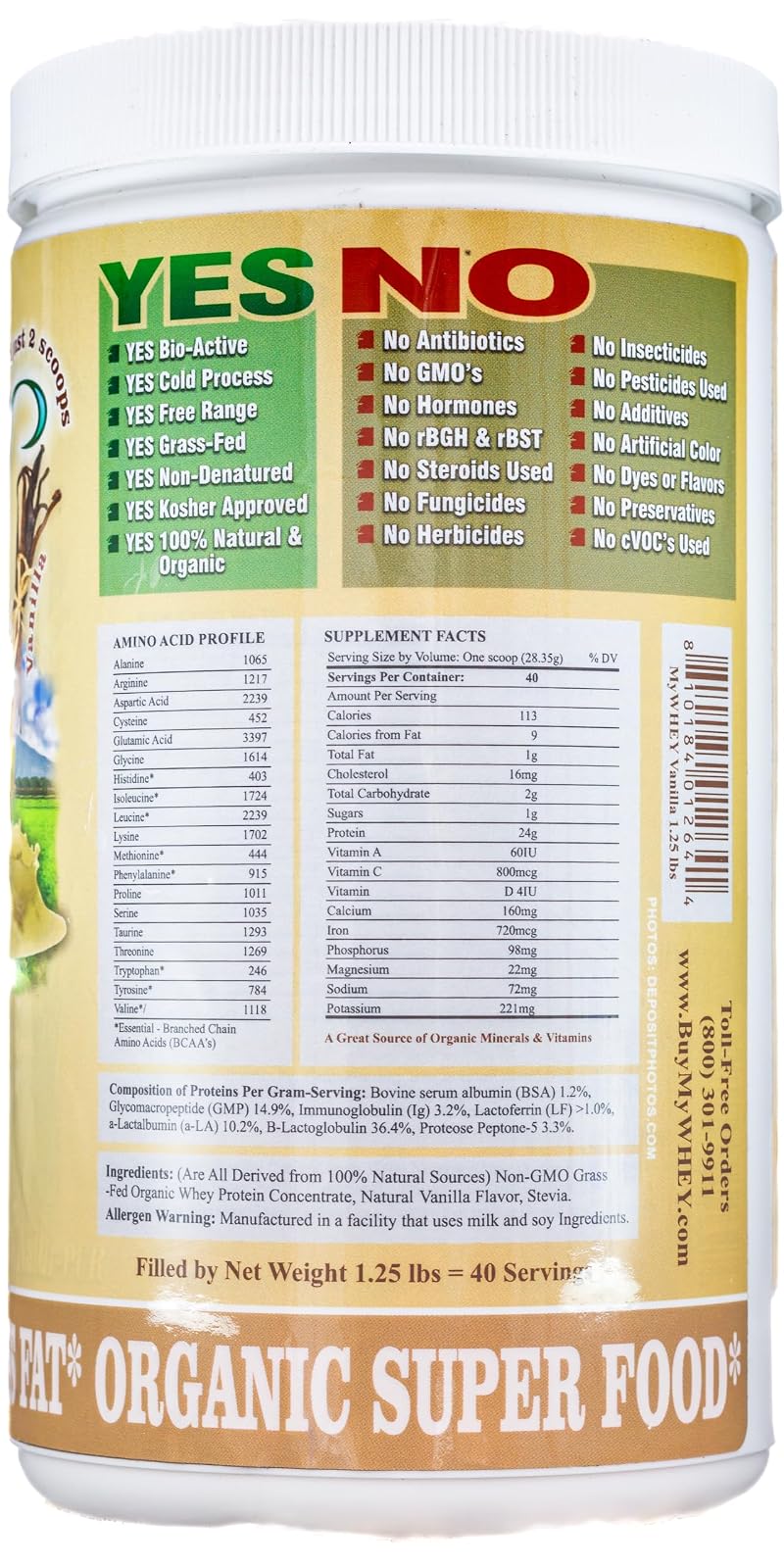 premium whey protein for muscle recovery