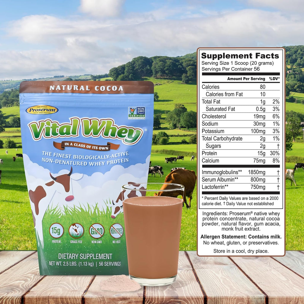 premium whey protein for smoothies