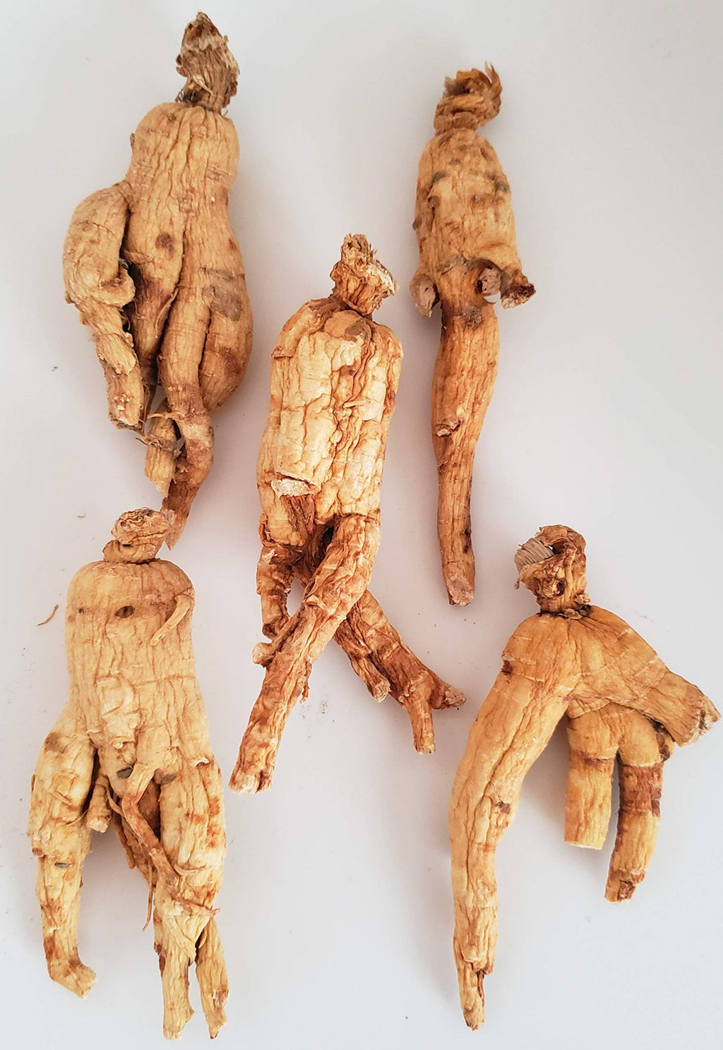 premium white panax ginseng roots