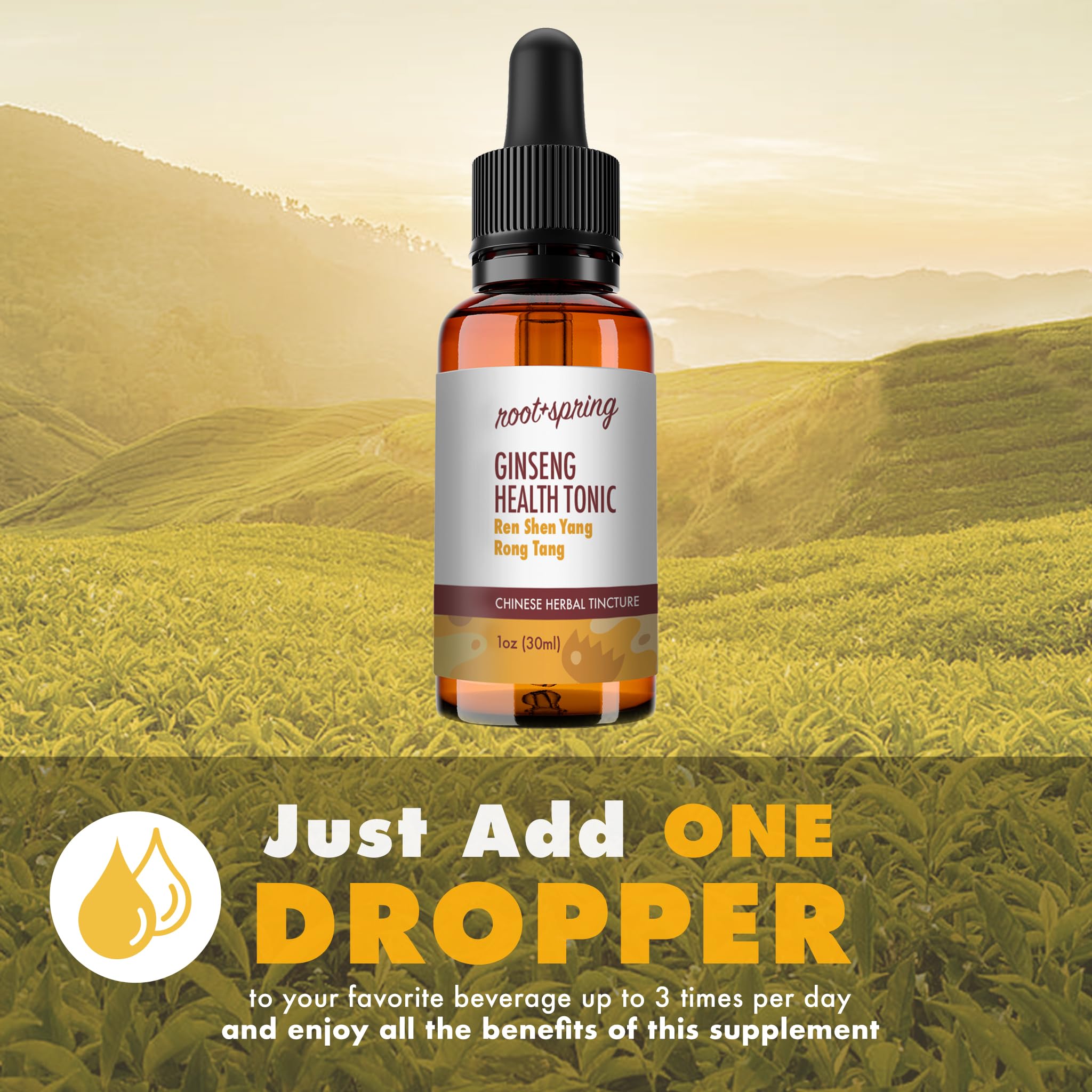 premium wild ginseng herbal tincture