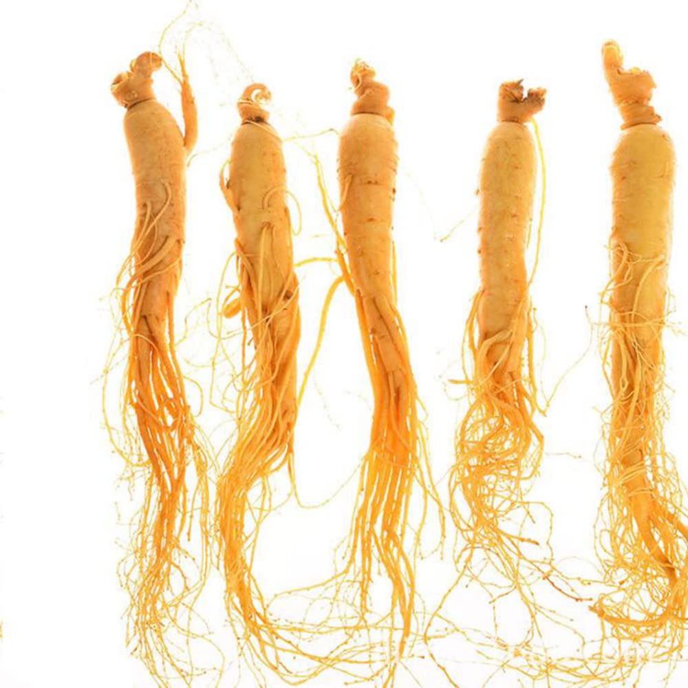 premium wild ginseng root pack