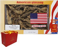 premium wild ginseng root