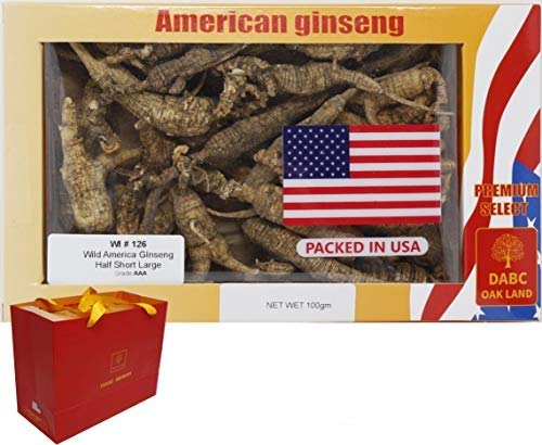 premium wild ginseng root